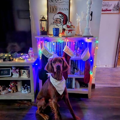 Happy Fall Wood Sign, Fall Quotes, Fall Home Decor, Lasercut Wood Sign ...