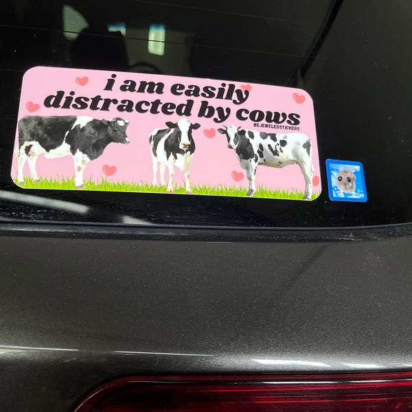 I Am Easily Distracted by Cows | Funny Cute Cow Lover Aesthetic Sticker ...