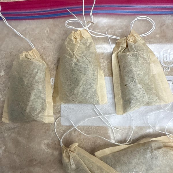 Cota-navajo Tea-hopi-greenthread-wildcrafted-taos NM - Etsy