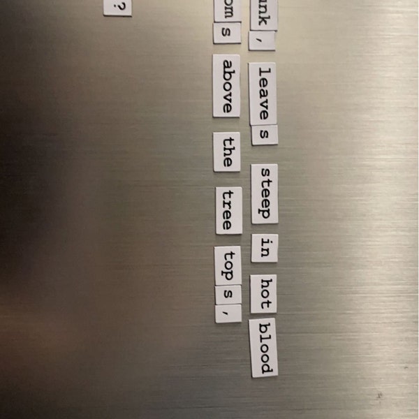 Poetry Tiles - 632 Piece Kids Word Play Kit - Explore Reading, Writing ...