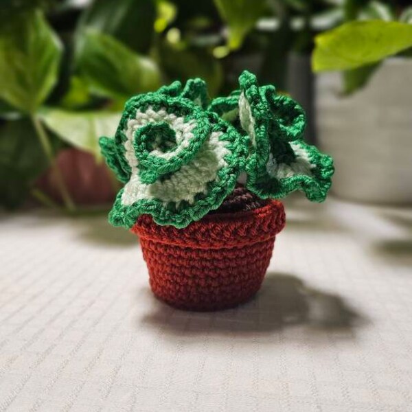 Begonia Escargot Pot Crochet Pattern, Amigurumi Plant Crochet Pattern ...