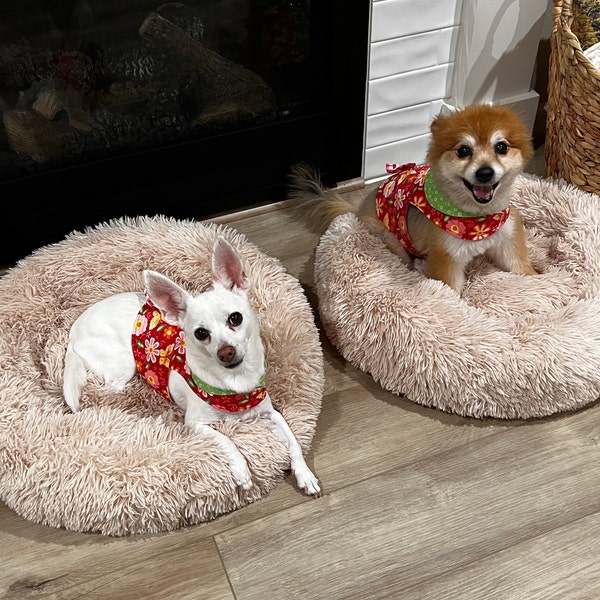 Animated Twitch Emote, Moist Emote for Twitch, Discord Emote, Digital ...