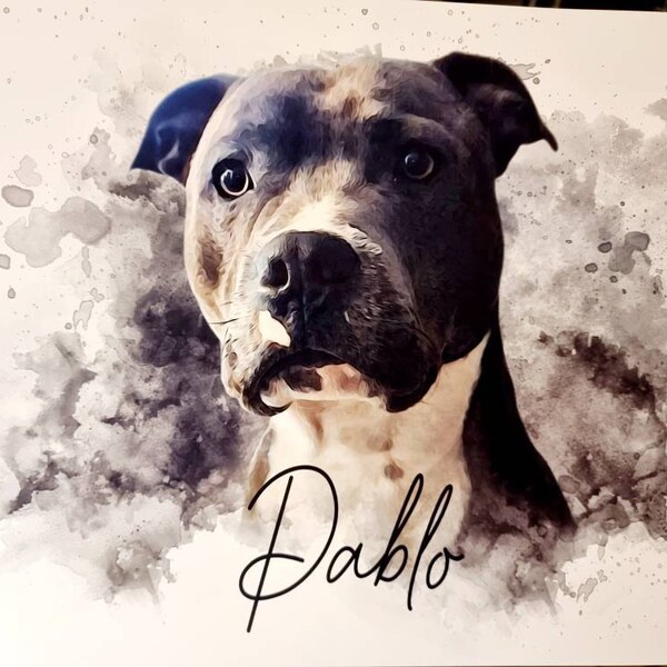 Personalised Staffy Pet Portrait | Custom Staffy Watercolour Portrait ...
