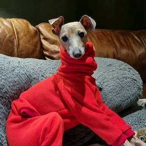 Sewing Pattern for Italian Greyhound Coat / Jacket / - Etsy