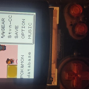 Pokemon Grape Version, With GTC Original Custom Label - Etsy