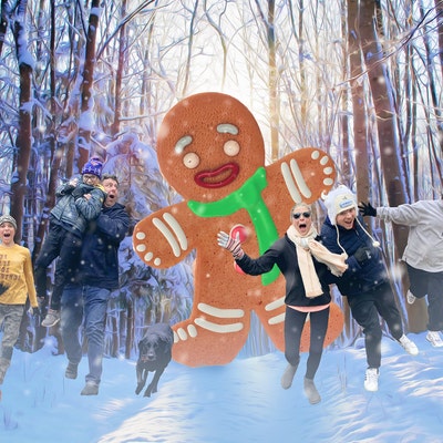 Digital Delivery, Funny Gingerbread Man Chase Digital Christmas Card ...