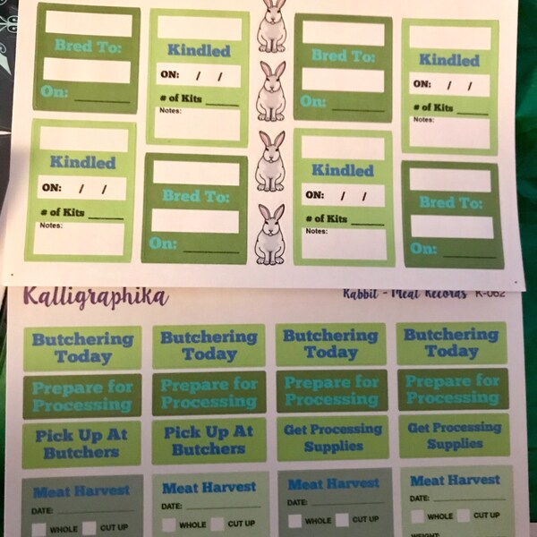 1st, 2nd and 3rd Place Ribbon Stickers - Etsy