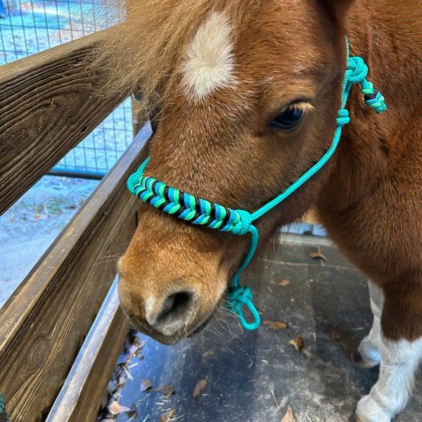 Custom Halter and Mecate Rein Set, Custom Mecate Reins, Mecate Training ...