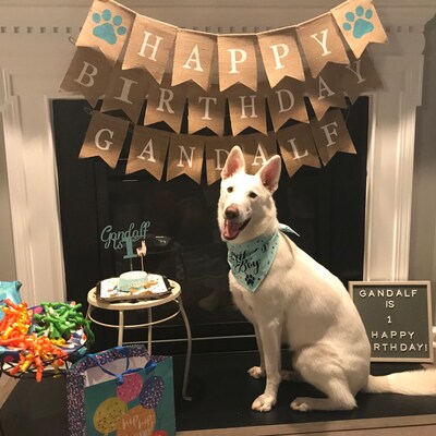 Happy Birthday Paw Print Burlap Banner, Pet Happy Birthday Dog ...