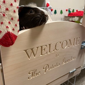 Rat Cage Tag Rat Cage Accessories Rat Name Tag Rat Cage | Etsy