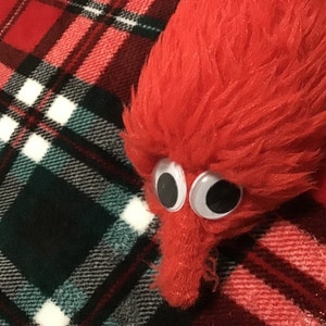 Fluffy Worm on a String Plushies - Etsy