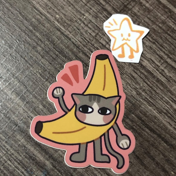 Fruit Cat Stickers | Aesthetic Cute Stickers + Sticker Pack - Etsy