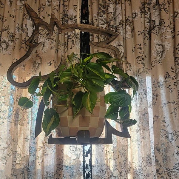 Monstera Stand, Plant Stand, Side Table, Monstera Table, Small Plant ...