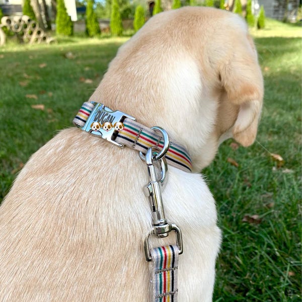 Cowgirl Chic Dog Collar Western Collar Customized Pet Collar Country ...