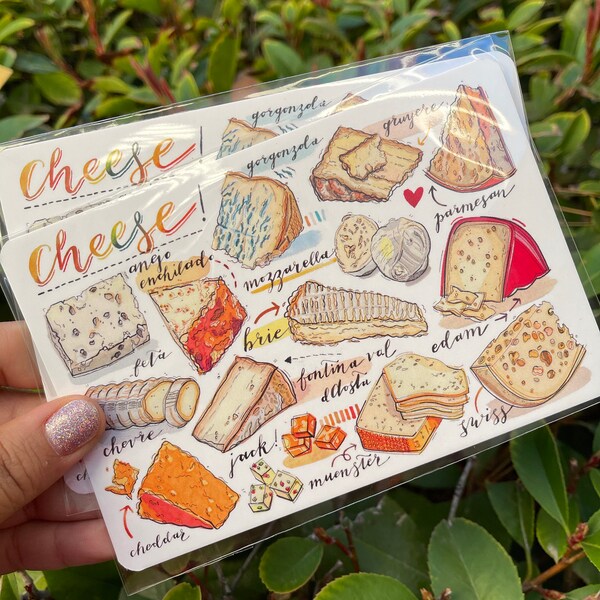 Cheese Postcard. - Etsy
