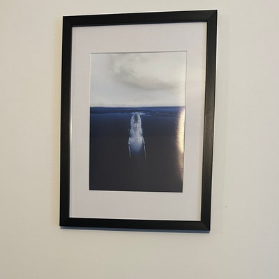 Moby Humpback Whale and Calf Underwater Ocean Photography Print - Etsy