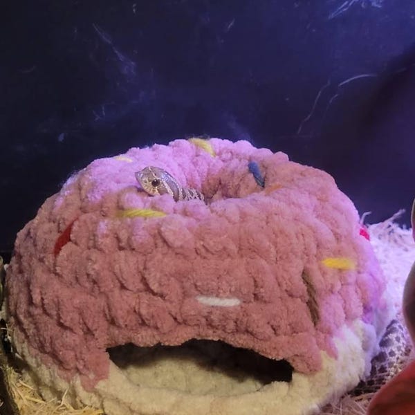 Brown Chocolate Cozy Crochet Donut Hide for Snakes and Small Animals - Etsy