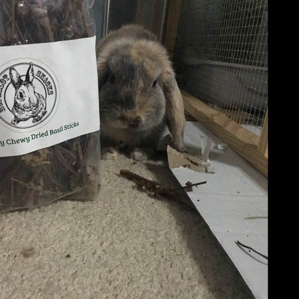 Crunchy Bunny Treats: All Natural Rabbit Snacks (100 Count) - Etsy