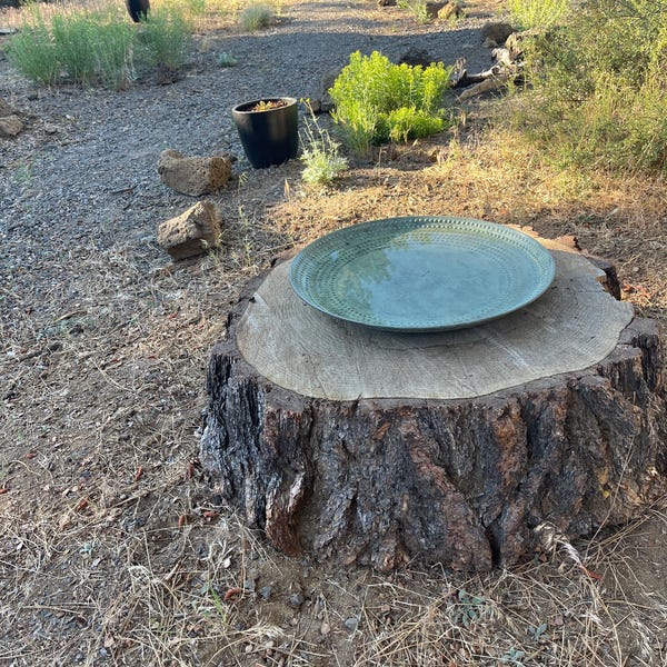 20” Rust Bird Bath With Stand - Etsy