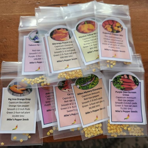 Purple Wild Brazil Cross F2 Seeds - Hot Pepper (15+ Seeds) - Etsy