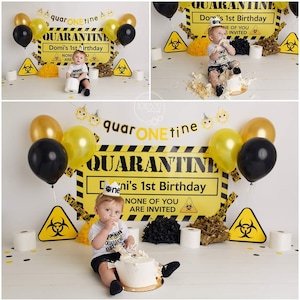 Boys Quarantined Birthday Shirt, Any Age Birthday Shirt, Toddler Social ...