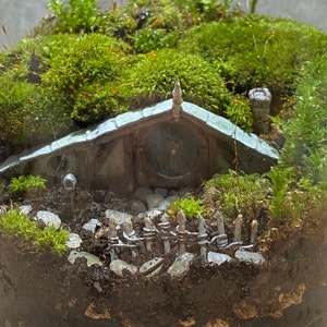 Star Moss Tortula Ruralis - Etsy