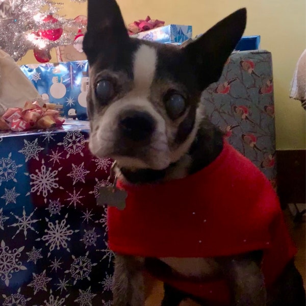 Set of 3 Perler Bead Coasters - Etsy