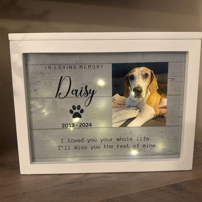 Pet Memorial Frame, Pet Memorial Shadowbox, Dog Memorial , Cat Memorial ...