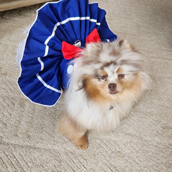Vintage-inspired wednesday Pet Dress Perfect for Halloween - Etsy