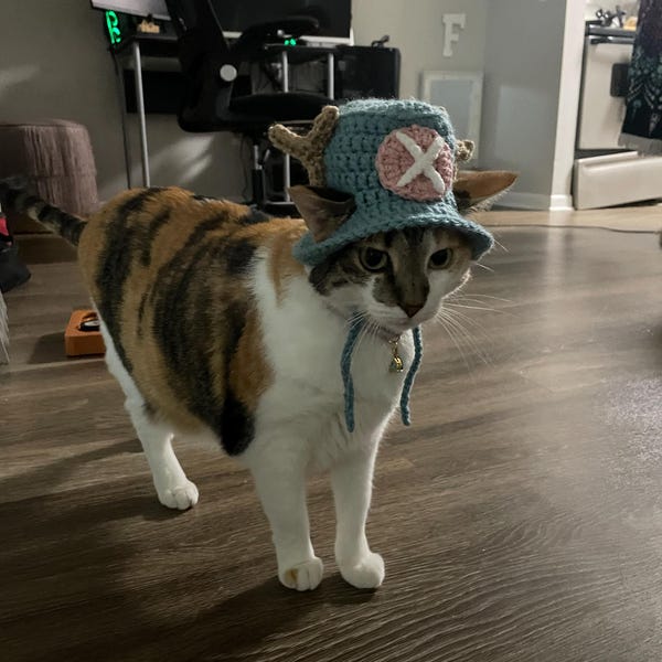 One Piece Anime Handmade Crochet Hat Tony Chopper Blue & Pink Hat ...