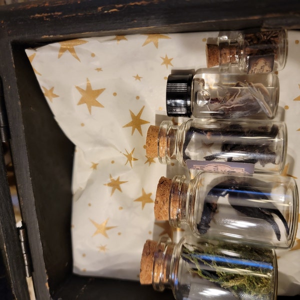 Mini Bug Curiosity Insect Specimen Jars | Entomology Apothecary Bottles ...