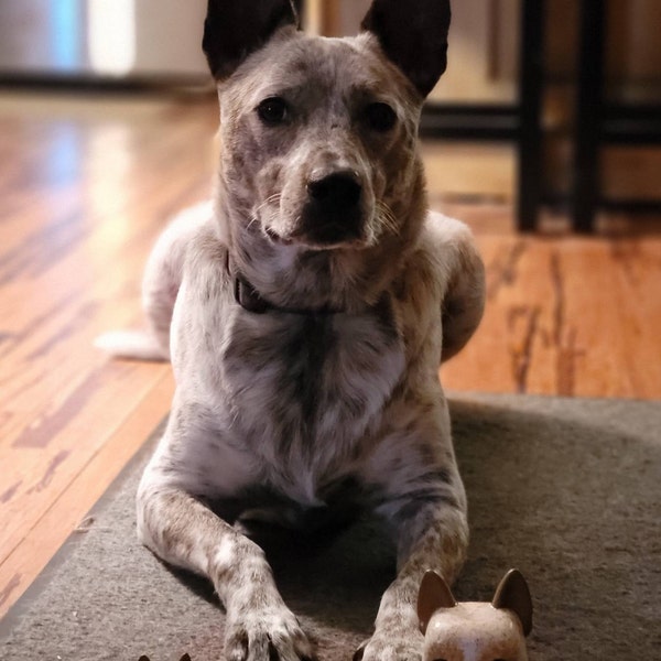 Custom Australian Cattle Dog Figurine, Heeler Art, Queensland Heeler ...