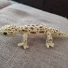 Leopard Gecko Lizard 2 Pattern - Etsy