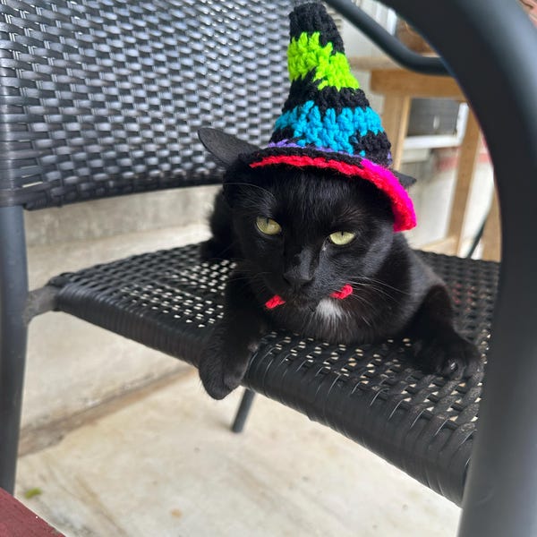 Devil Dog Costume, Devil Horns for Large Breed Dogs, Red Devil Dog Hat ...