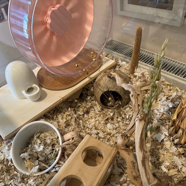 Hamster Vine Branch/ Natural Hamster Enclosure Item - Etsy UK