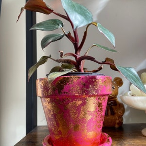 Spider-man Hand Painted Terracotta Plant Pot - Etsy