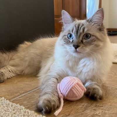 Yarn Ball Toy for Cats, Cat Yarn Toy, Mini Yarn Ball, Cat Yarn Ball ...