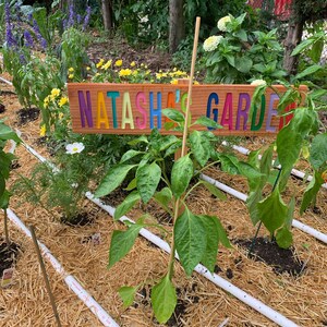 Childrens School Garden Signs School Garden Teachers Signs | Etsy