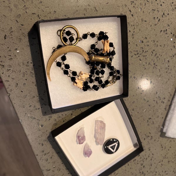 Morgana Necklace Choker Bird Skull Lariat Pendant Witchy Goth Gothic ...