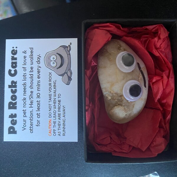Small Pet Rock With Carry Case & Care Guide - Fun Novelty Gift for ...