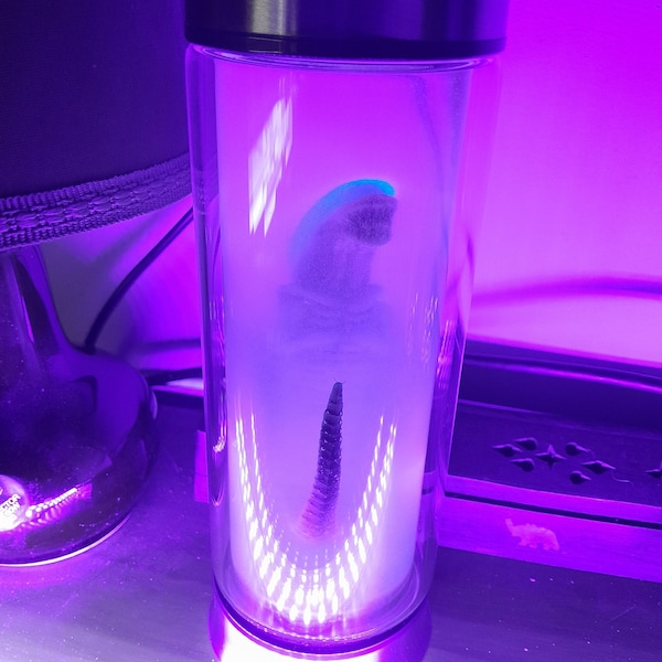 USA Dinosaur Embryo Jurassic in Jar Test Tube Led Bottle Prop - Etsy