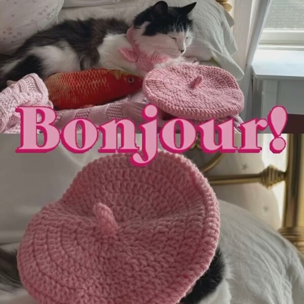 French Beret Hat and Scarf, Beret Hat for Cat, Cat Scarf, Purple Kitten ...