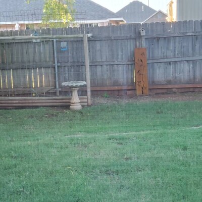 Birds on Tree Branches, Rusty Privacy Screen, Garden Panel, 60x12 ...