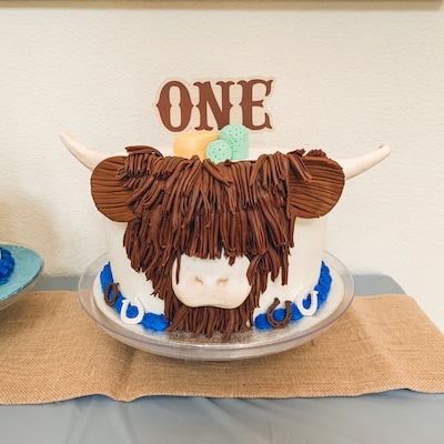 My First Rodeo, First Rodeo Cake Topper, Western First Birthday, Cowboy ...