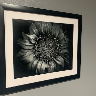 Black and White Sunflower Digital Print, Sunflower Home Decor ...