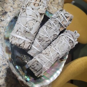 Wooden Shell Tripod Display Stand Hand Carved Base for Abalone Shell ...