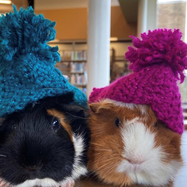 DIGITAL DOWNLOAD PDF Guinea Pig Crochet Pattern Decorative Diaper Style ...