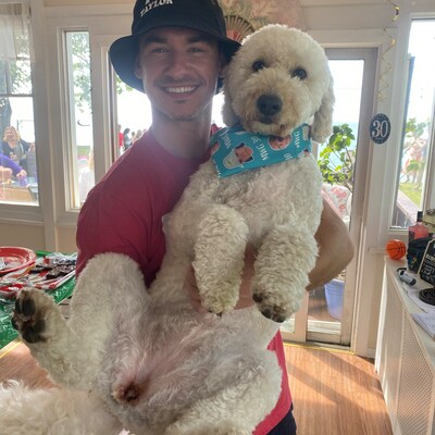 Bee Sight Word Builder Sight Word Practice Reading Game - Etsy