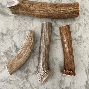1lbs or 2lbs ELK ANTLER DOG Chews/ Treats - Etsy