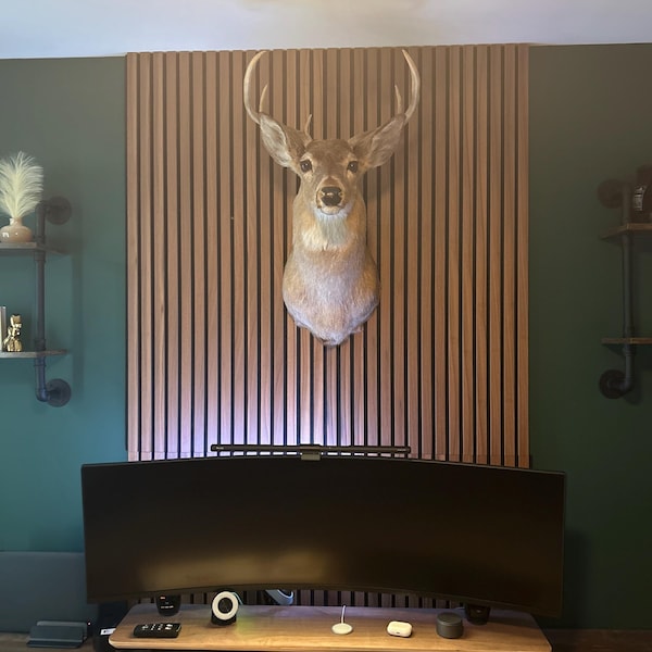 Dark Mini 3x3 Axis Antler Horn Deer Fake Skull Mount Taxidermy Rack Man ...